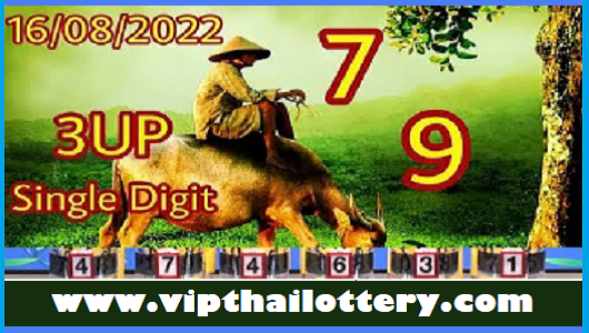 Thai Lotto Vip Charts Tips Cut pair Digit Calculation 16-8-2022