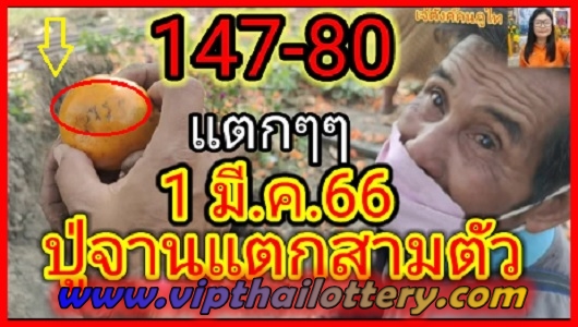 Thailand Government Lottery Set Down Total Game Pass 1.6.2023
